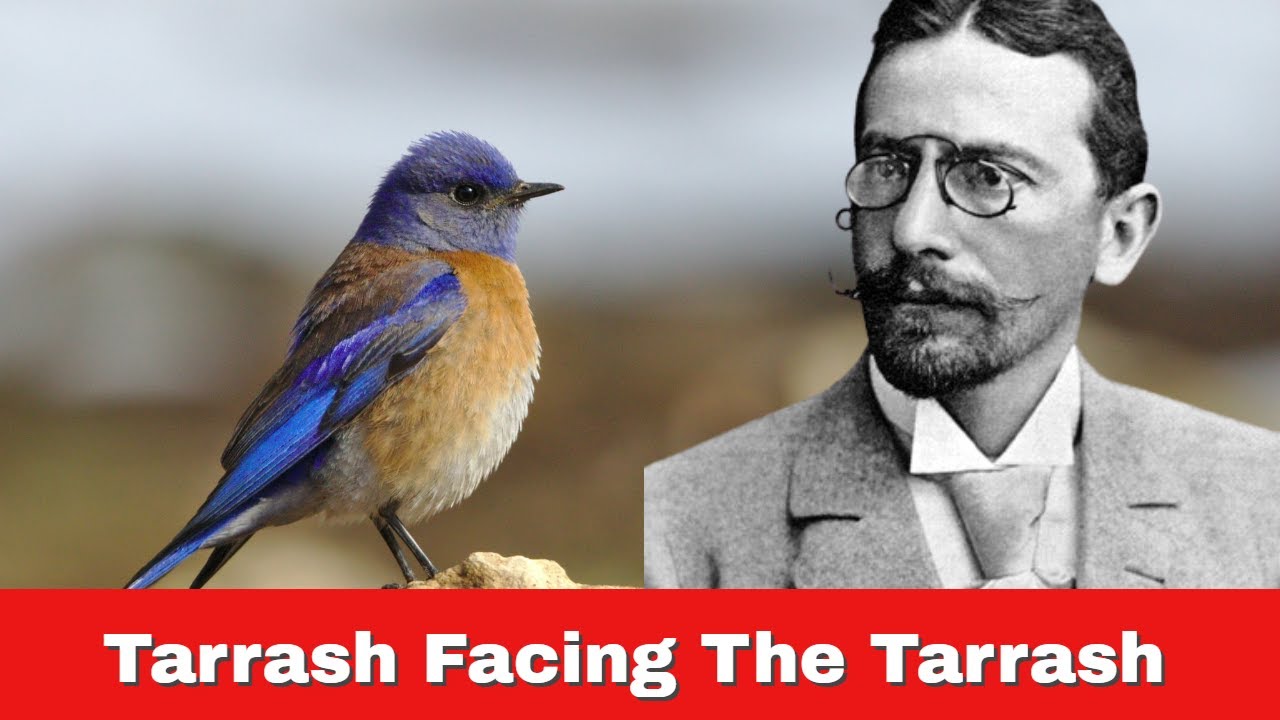 What Would Tarrash Do Against The Tarrasch Defence? | Siegbert Tarrasch ...