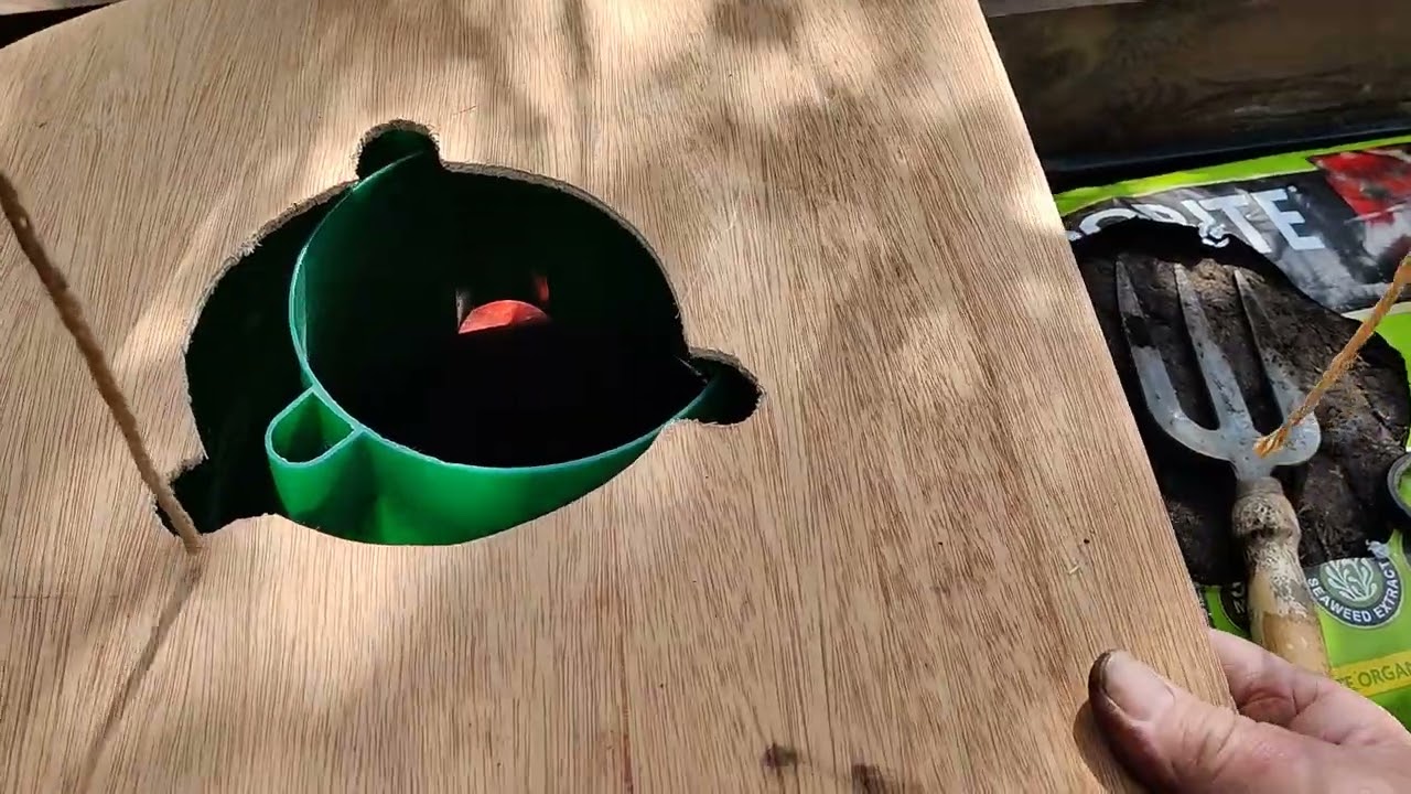 Diy Tomato Halo