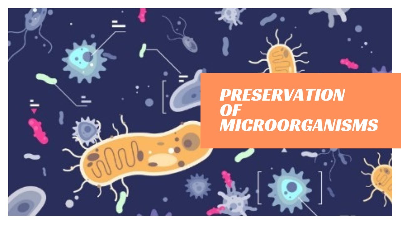 Preservation of industrially important microorganisms - YouTube