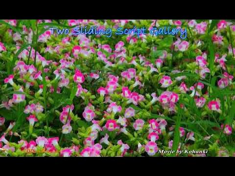 Two Sliding Script Gallery - YouTube