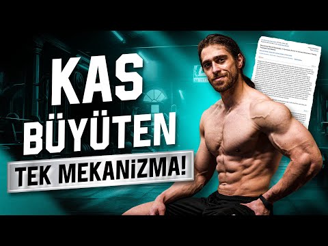 Kas Geliştirmenin Bilimsel Anahtarı: Mekanik Gerilim Nedir?