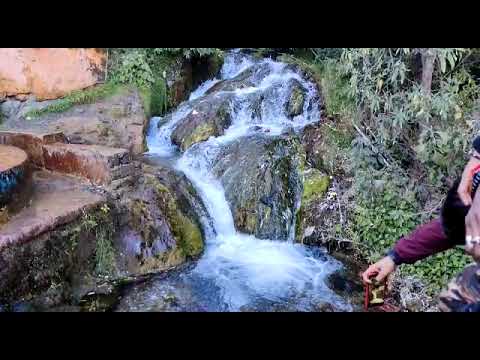 Sang tere panio sa behta rahu  #paniosa #2023 #sangtere  #shorts # video status