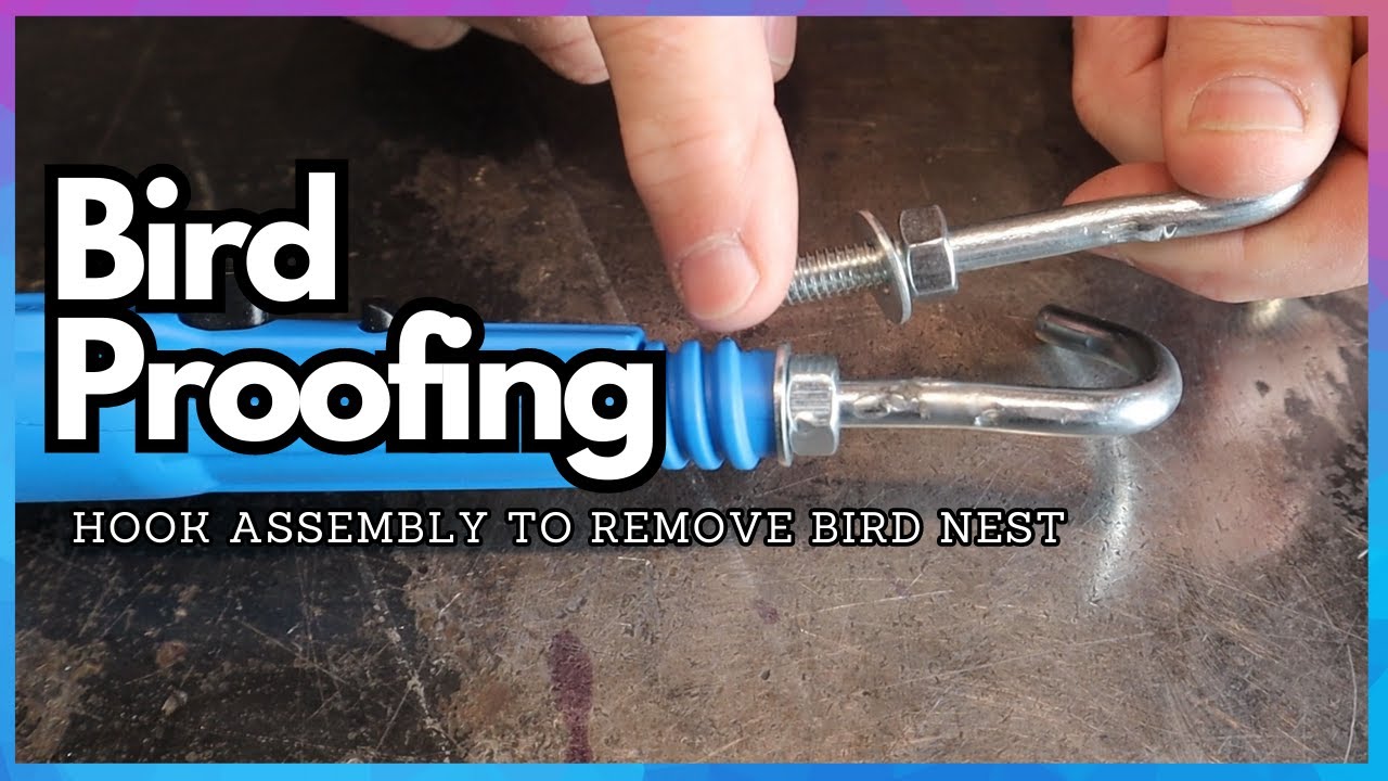 Bird Proofing Hook Assembly To Remove Bird Nest YouTube bird-proofing-hook-assembly-to-remove-bird-nest-youtube