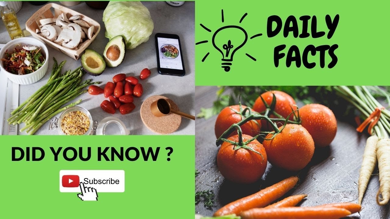 Daily facts (Day 4)#dailyfacts#1day1fact - YouTube