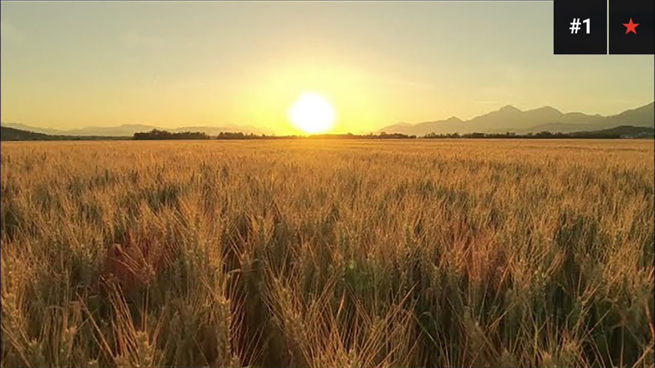 GOD IS LOVE MUSIC VIDEO STEVEN KRONICK - YouTube