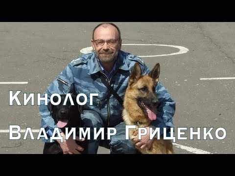 Кинолог Владимир Гриценко о воспитании, дрессировке, что не так с ...