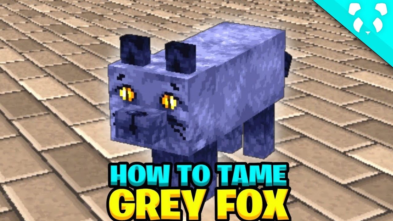 🐺 HOW TO TAME GRAY FOX! | @XREALM 🐼 - YouTube