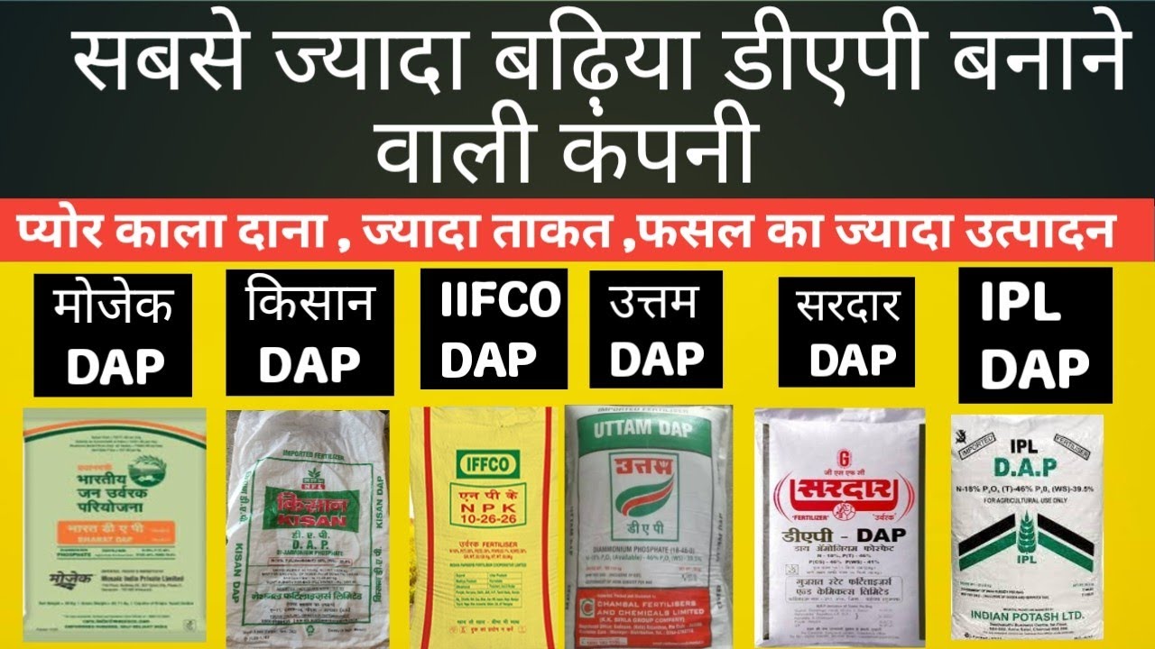sabse badiya DAP wali company , india no.1 DAP fertilizer ,dap konsi ...