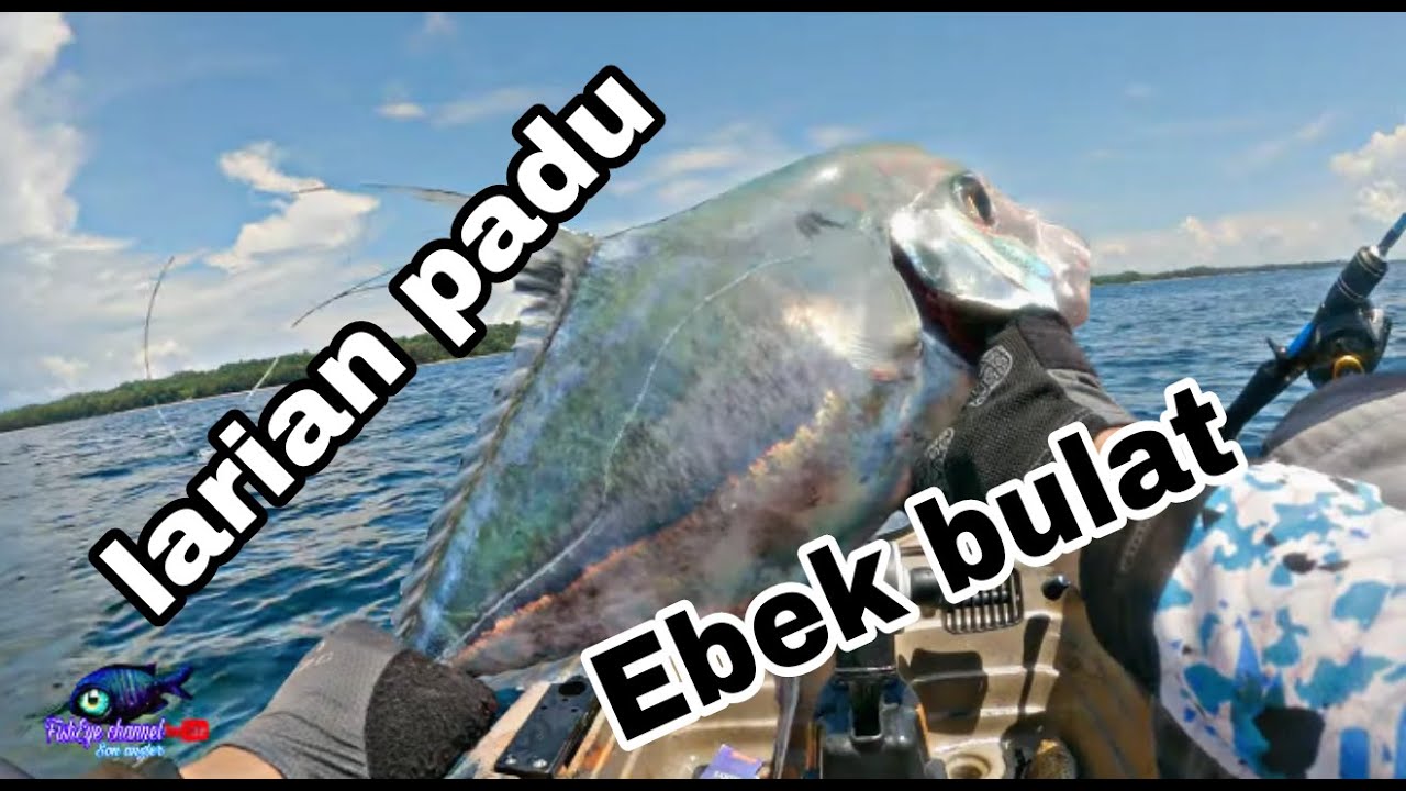 STRIKE last minit./ kayak fishing LABUAN/KAYAK FISHING MALAYSIA - YouTube