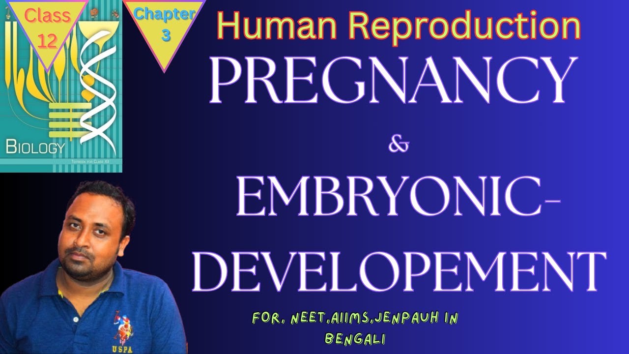 Pregnancy and Embryonic development class 12 - YouTube