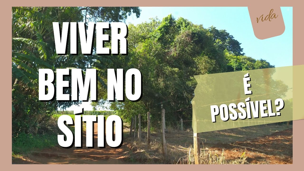 Cuidando do Sítio, Lavoura de café, plantações variadas, capim ...