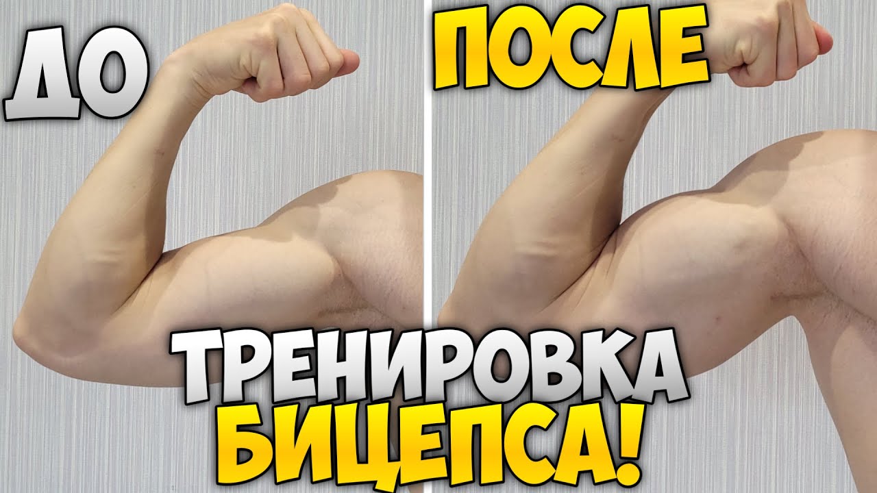 СИЛОВАЯ ТРЕНИРОВКА БИЦЕПСА Youtube