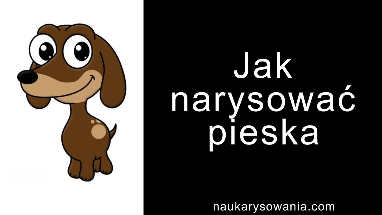 Jak narysować pieska | Rysowanie pieska krok po kroku - YouTube