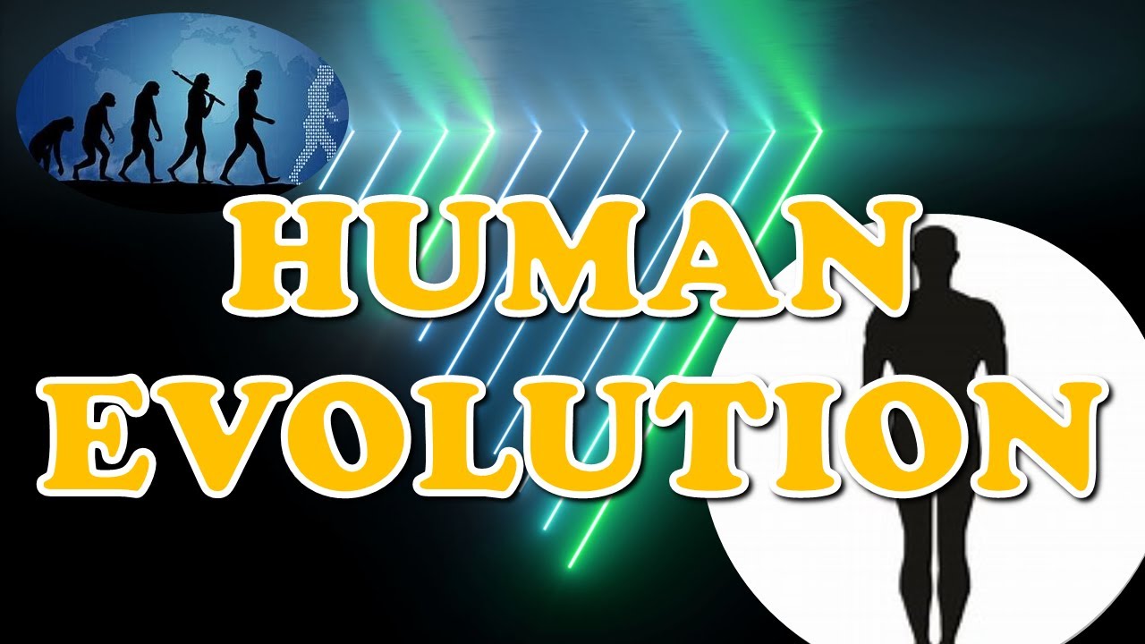 Human Evolution simplified-12 Biology:Origin & Evolution,NEET,NCERT ...
