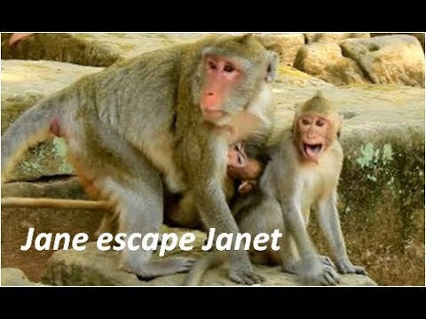How can she do ? Jane try escape Janet try follow | Jane much tired ...