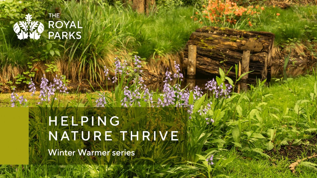 Winter Warmer Talks 2023/24 - Helping Nature Thrive - YouTube