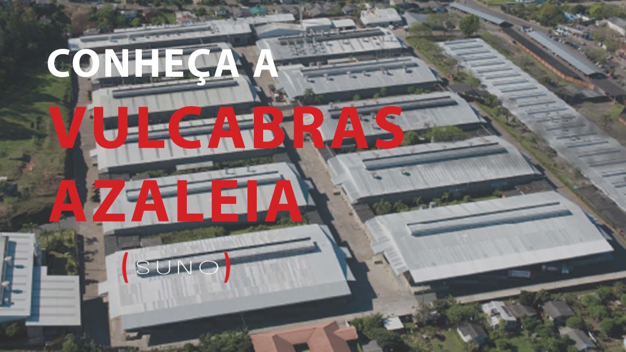 VULC3 - Saiba Tudo Sobre As Ações da Vulcabras Azaleia - YouTube