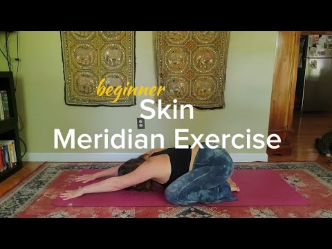Beginner Skin Meridian Exercise - YouTube