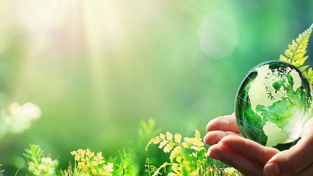 shawali sahil Live Stream - YouTube