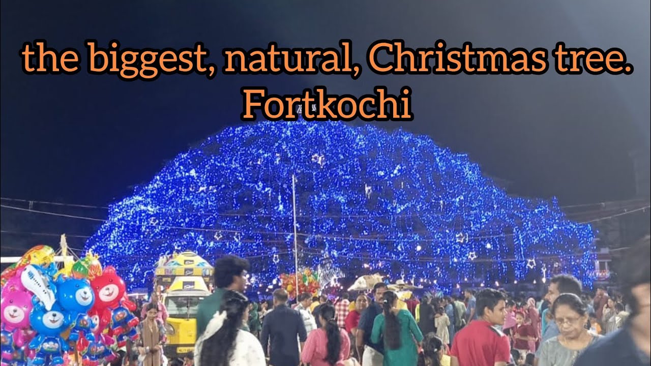 fortkochi veli/biggest natural tree - YouTube