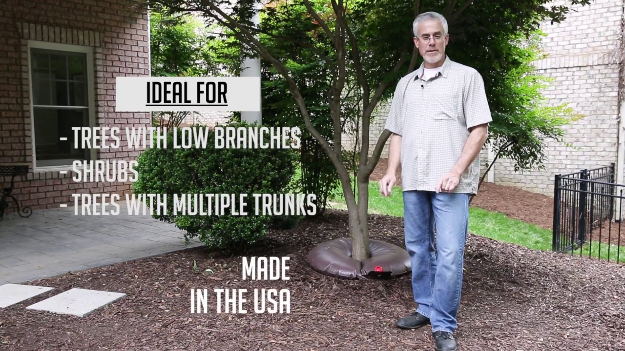 How To Install and Fill a Treegator Jr. Pro Slow Release Watering Bag ...