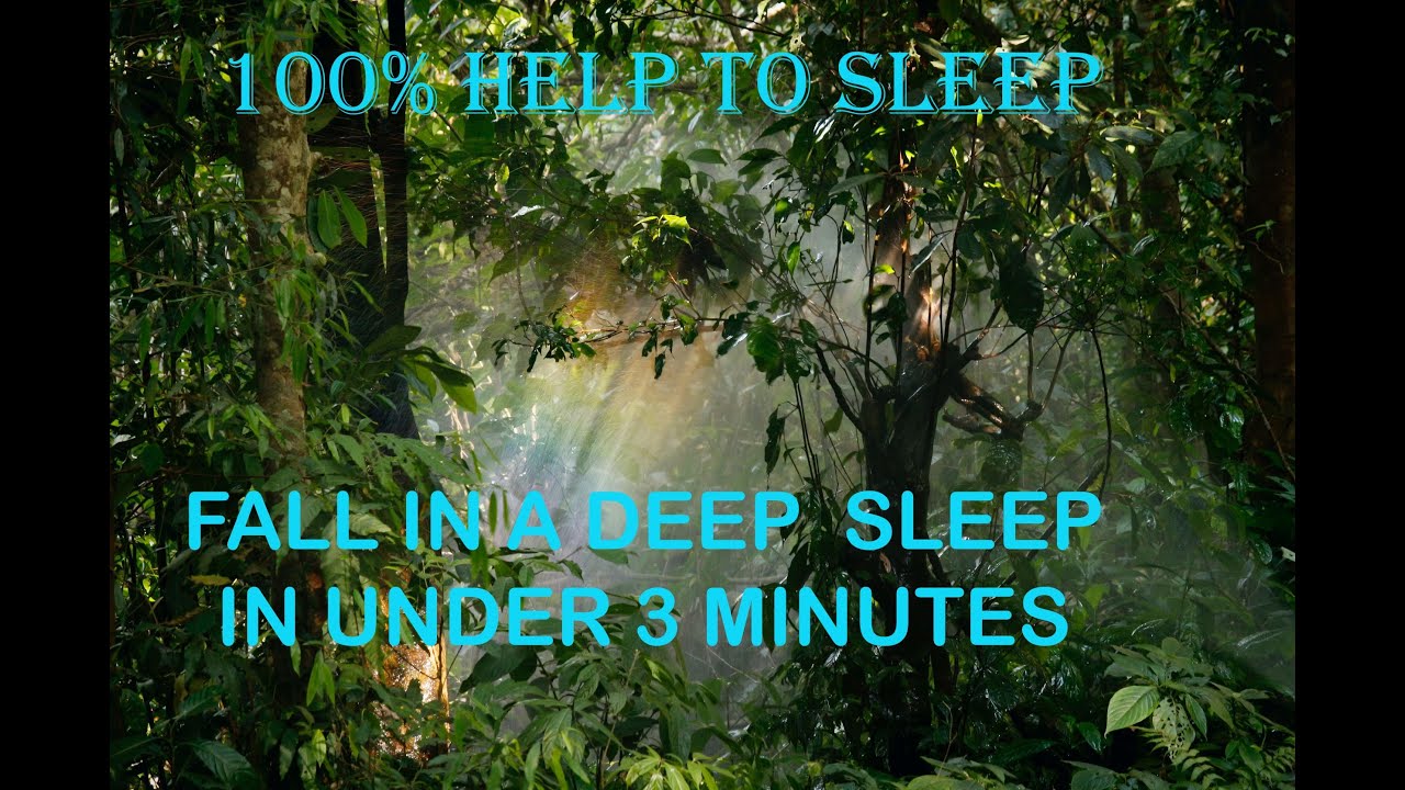 Relax & Sleep In Seconds - FOREST AT NIGHT - Crickets Owls Rain Wind in ...
