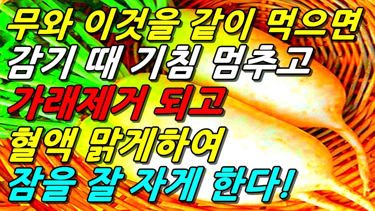 무와 이것을 같이 먹으면 감기 때 기침 멈추고 가래제거 하고 혈액을 맑게 하여 잠을 잘 자게해 주는 보약 같은 음식수면 기침