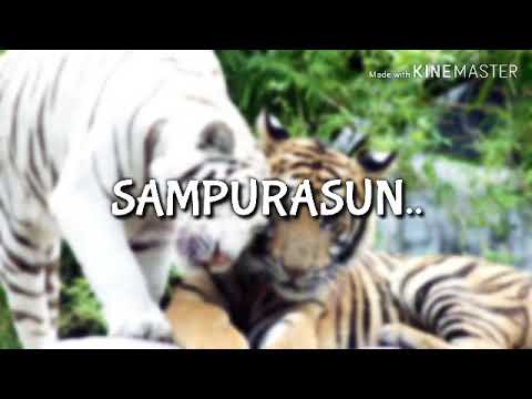 Rajah Prabu Siliwangi ( Surya )