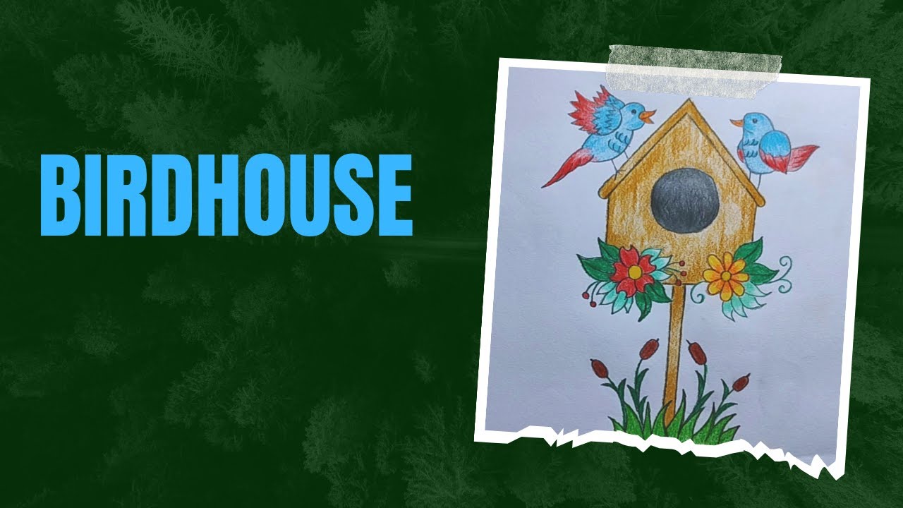 How To Draw A Birdhouse/Step By Step/Color Pencil Drawing - YouTube