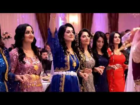Halay grubunun muhteşem gösterisi  #halay #halaybasi #şefo #kurdish #kurtce #düğün #gelin #batm