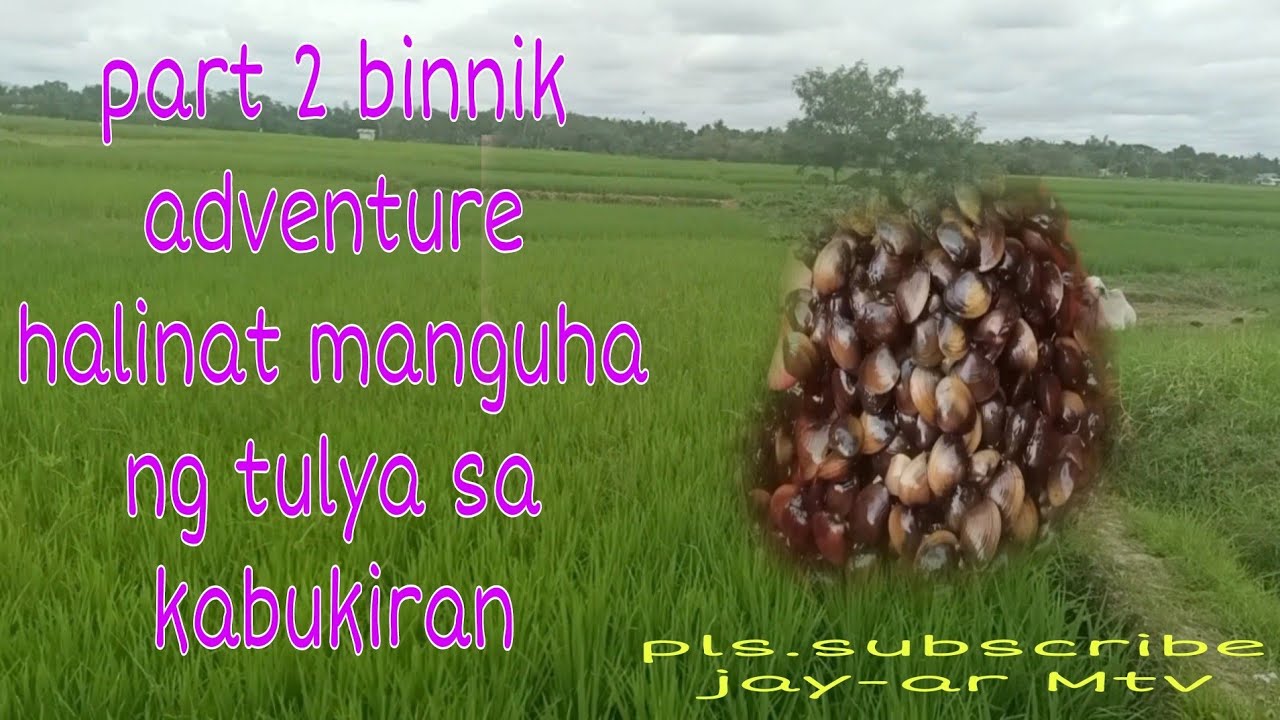 part 2 binnik adventure halinat manguha ng tulya sa bukid - YouTube