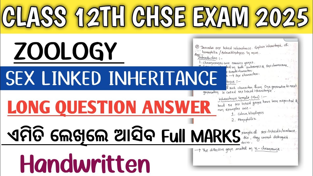 Sex Linked Inheritance Long Question Answer||Class 12th chse biology ...