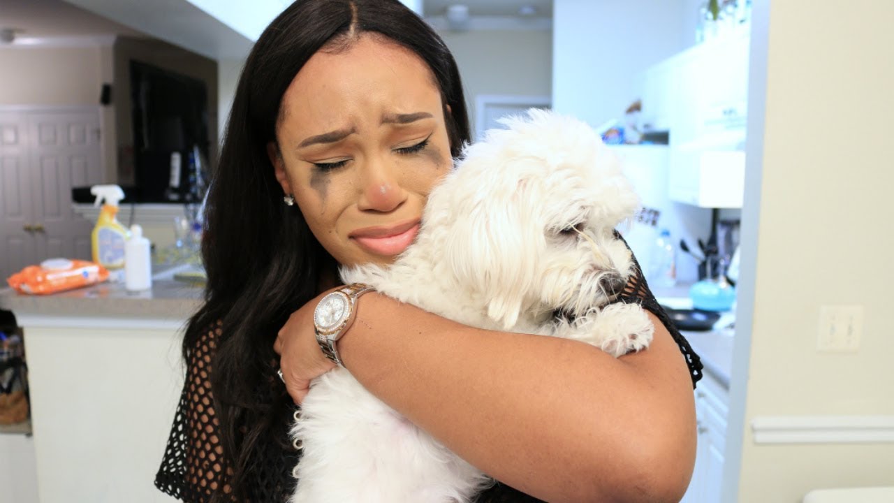 DOG RAN AWAY PRANK (SHE CRIES & GETS VIOLENT) - YouTube