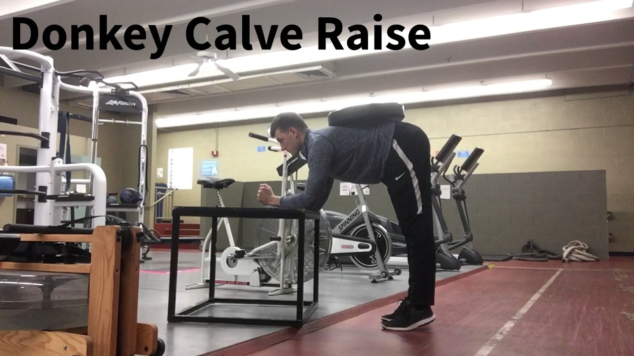 Donkey Calve Raise - YouTube