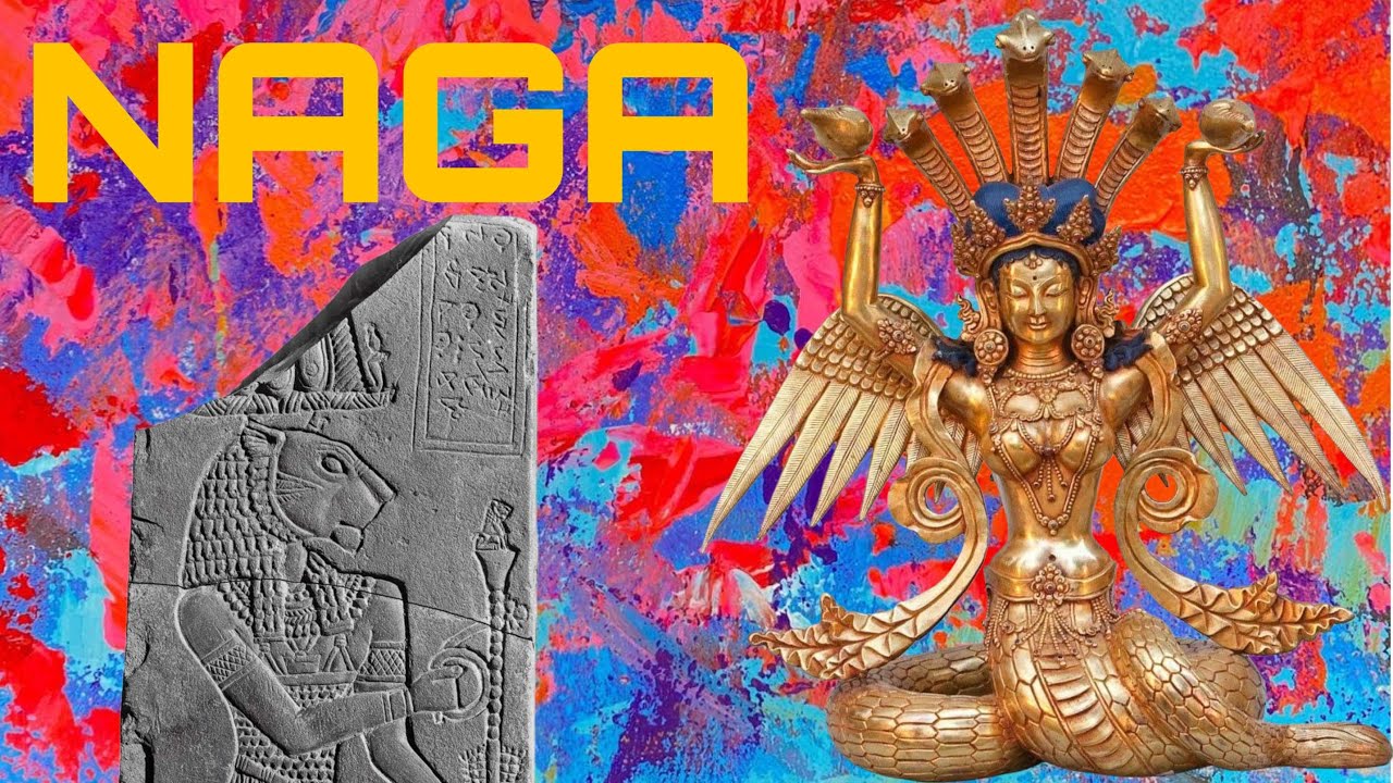 "N" is for Naga: The ABCs of Civilization & Culture - YouTube