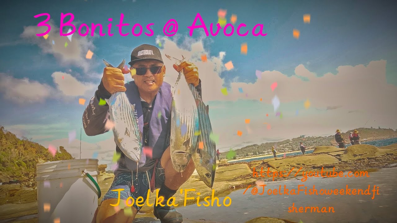 3 Bonitos🐟 fishing @ Avoca... - YouTube