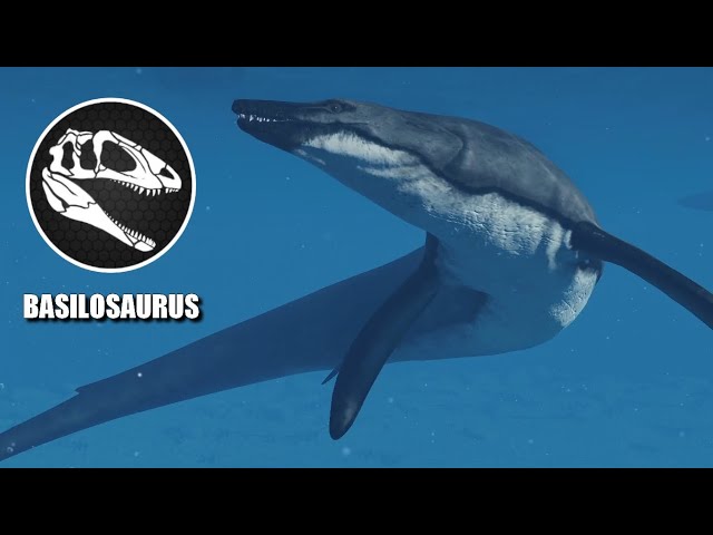 Basilosaurus Evolution