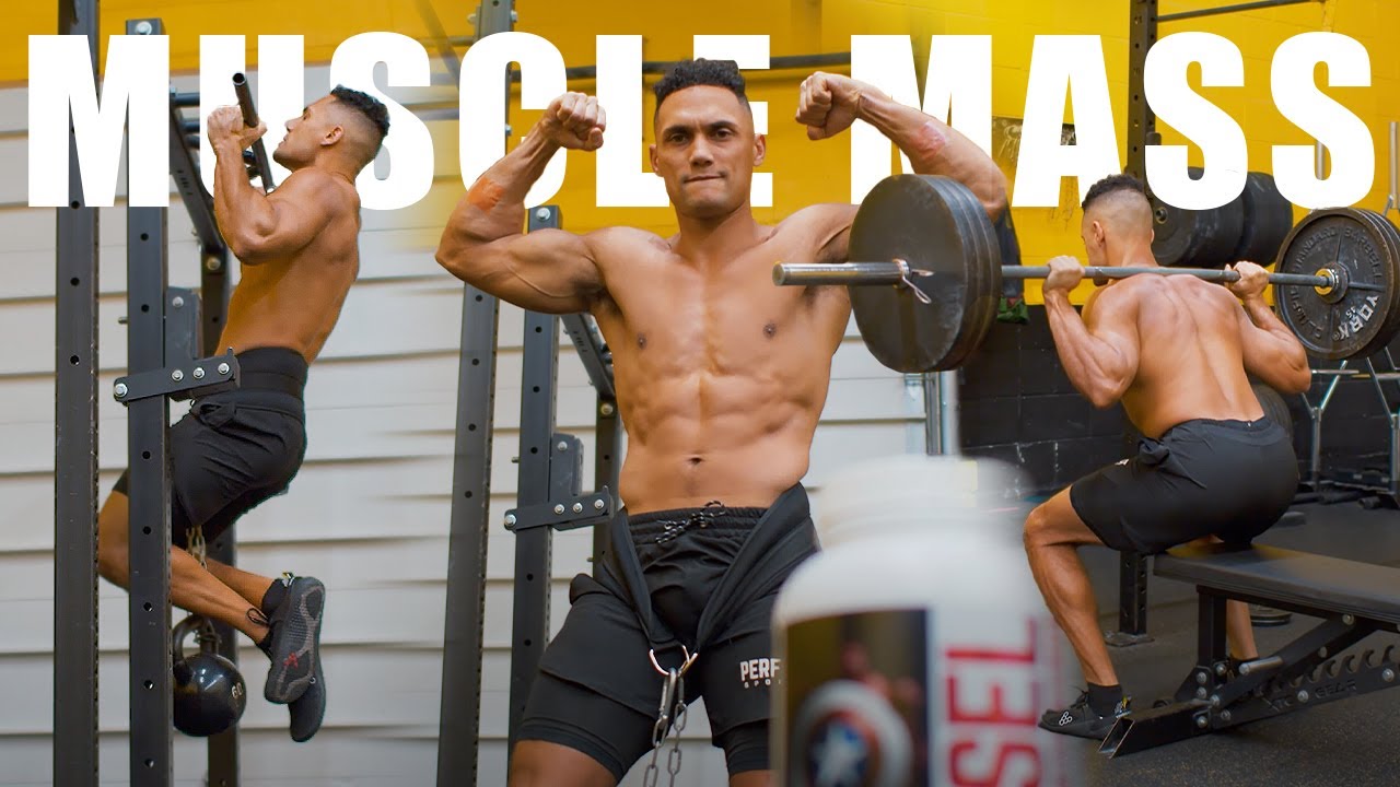 Full Body Strength Workout to Increase Muscle Mass | Cluster Training ...