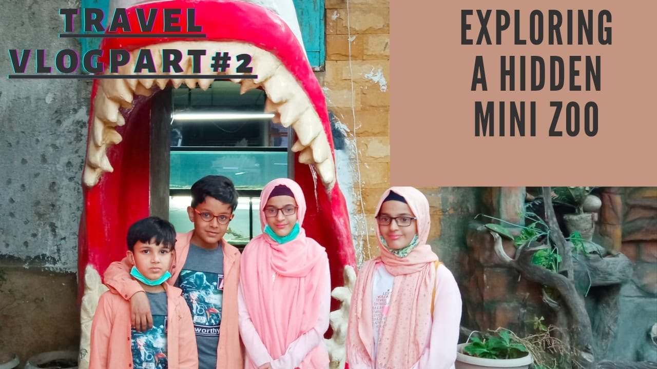 A Hidden Mini Zoo || Explore with Kiddy Kids Studio || Zoo Travel Vlog ...