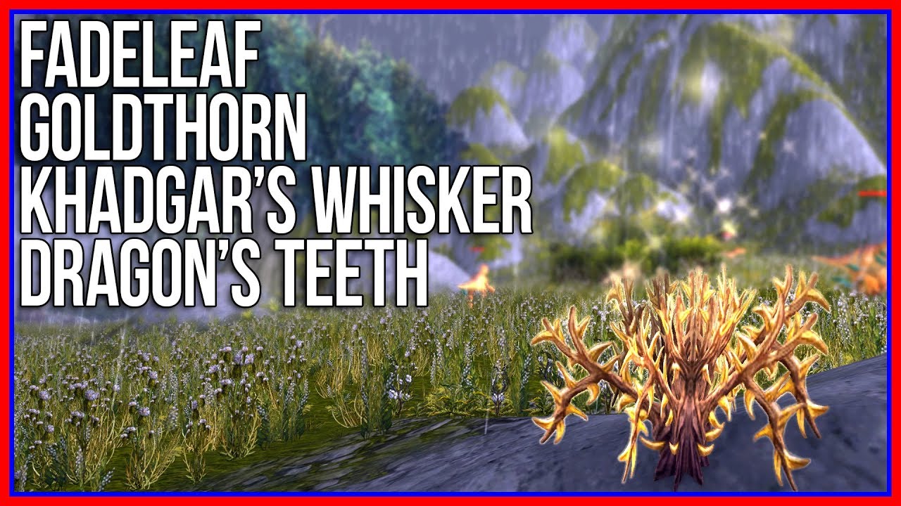 WoW HERB FARMING: Fadeleaf, Khadgar's Whisker, Goldthorn, and Dragon's ...