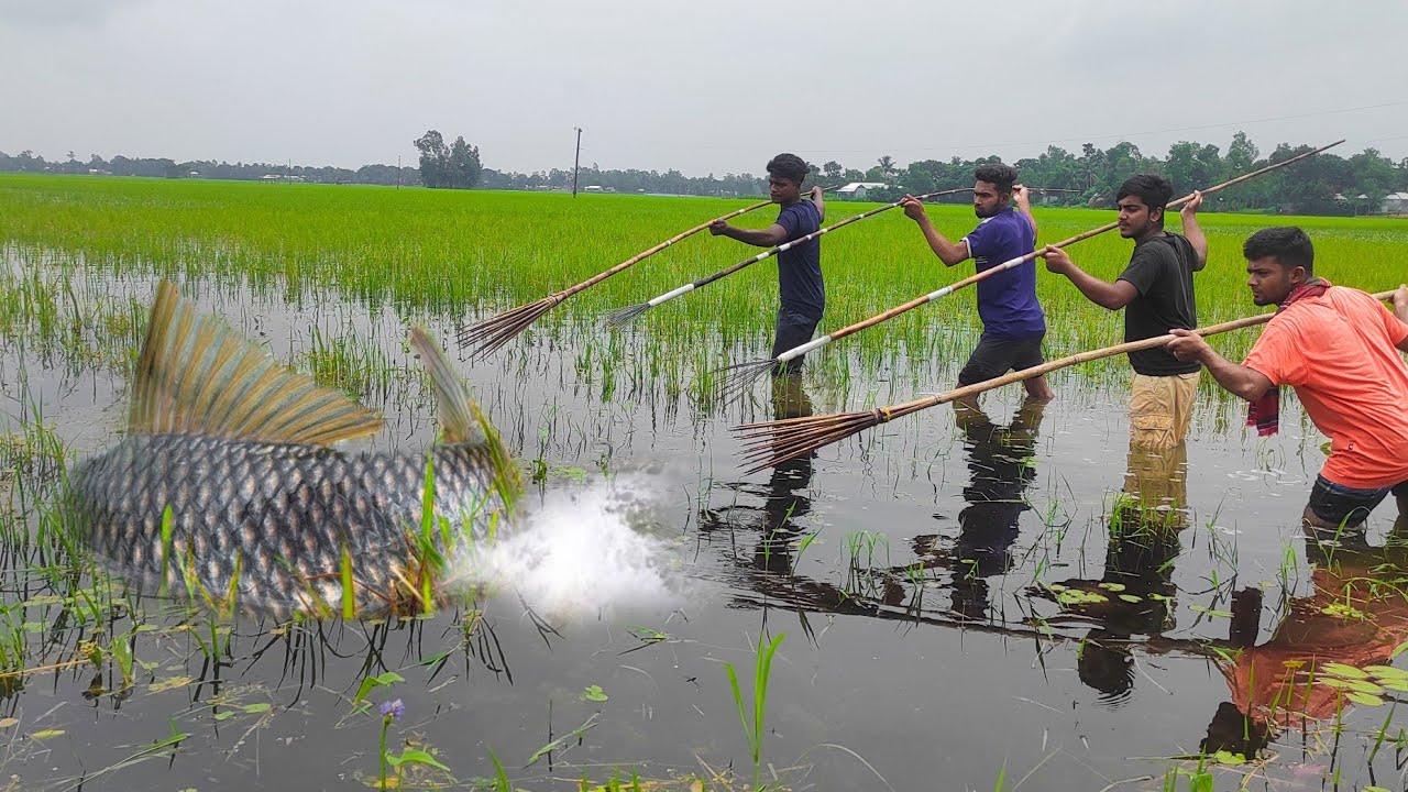 Best Group Fishing ️ Bamboo Crossbow Fishing & Spearfishing ️ ...