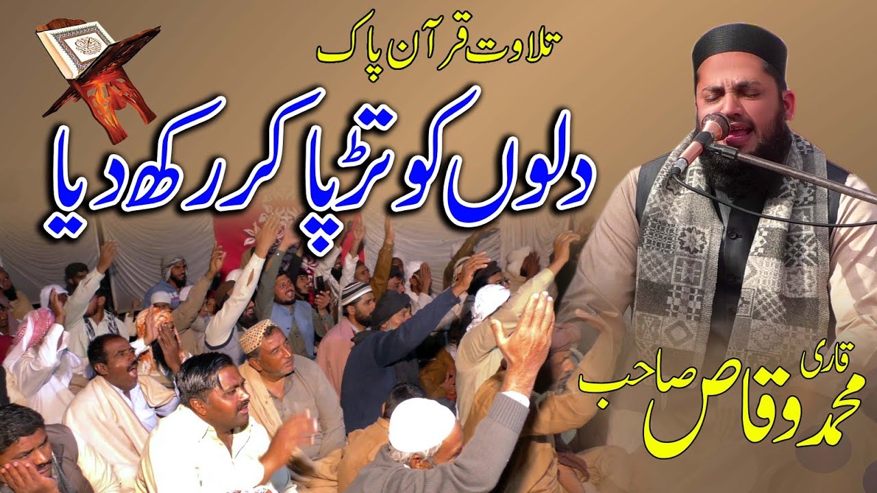 New Tilawat 2024.Qari Muhammad Waqas Beautiful voice tilawat.Tilawat e ...