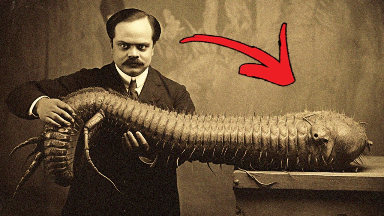 Disgusting Creatures You Never Knew Existed - YouTube