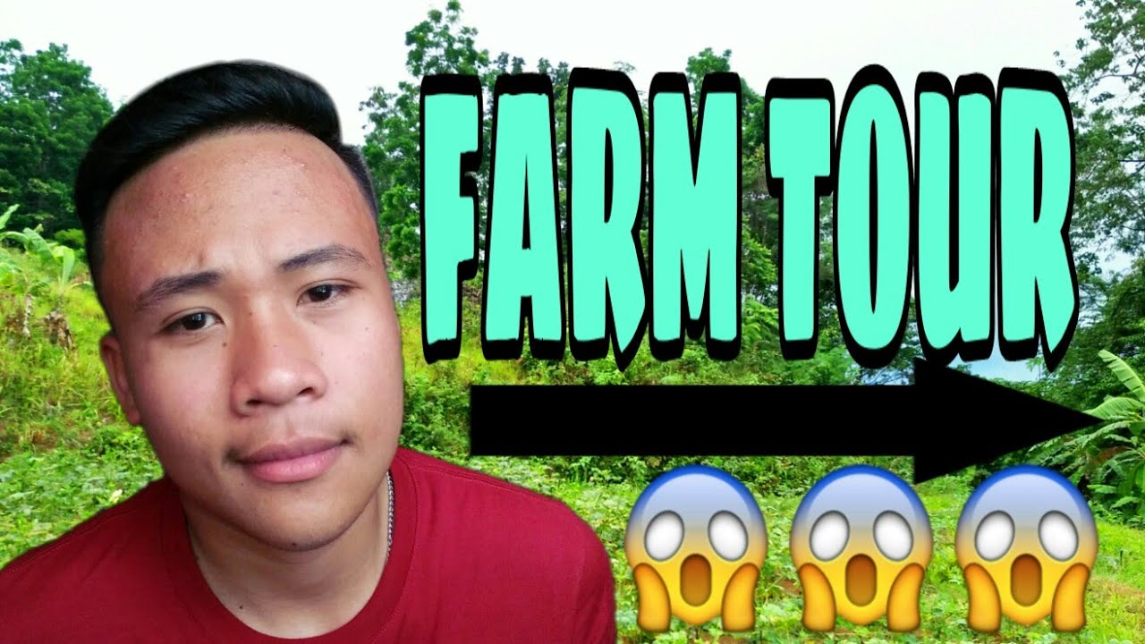 FARM TOUR| FARM PLANTATION|FARM RENOVATION|TAGALOG 2020 - YouTube