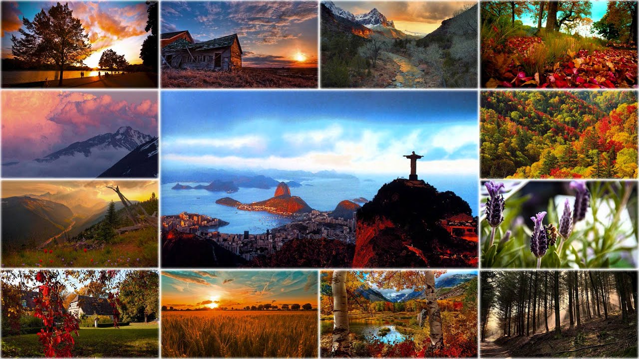 O Joio O Trigo - Mount Zion Reggae Gospel Brasil [HD] - YouTube