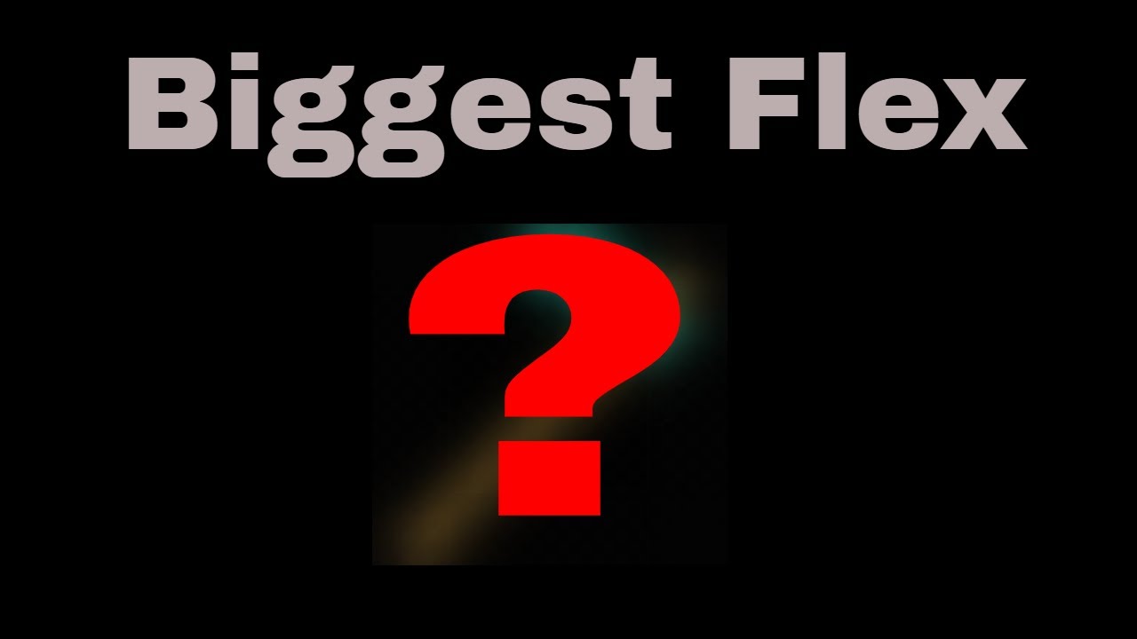 the biggest flex in minecraft - YouTube
