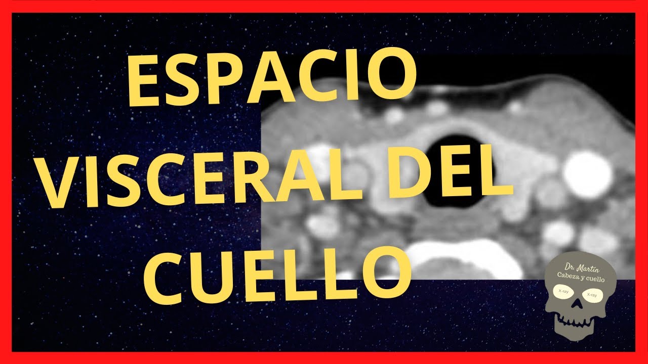 ESPACIO VISCERAL del CUELLO👉[Anatomía Radiológica] - YouTube