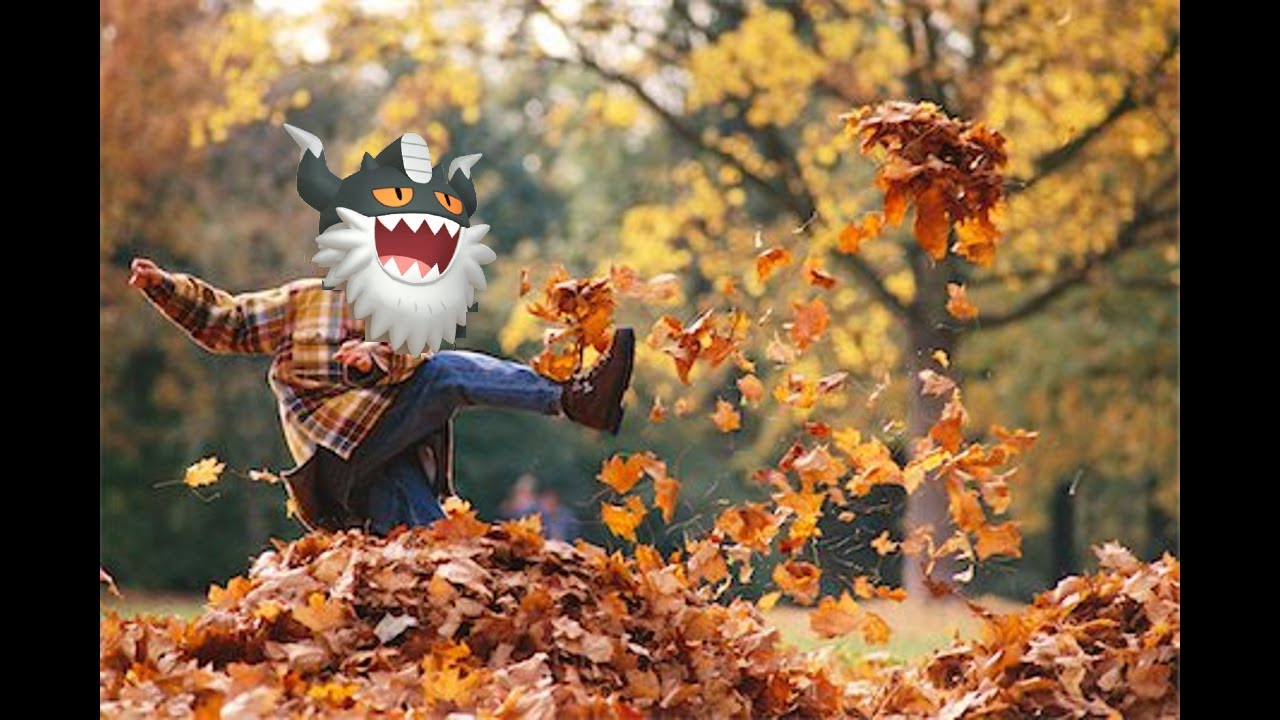 Fighting a Leaf in the Fall | VBA Season 3 Week 1 - YouTube