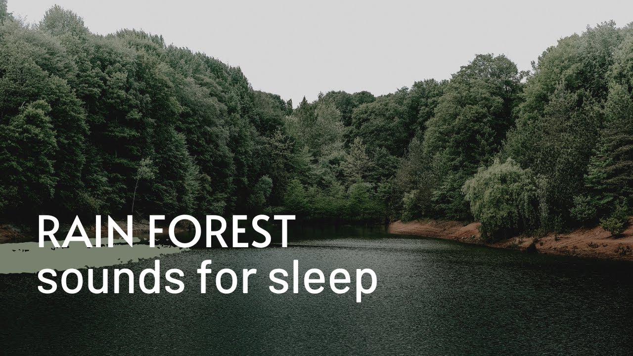 Rainforest sound for sleep, study, relax. - YouTube