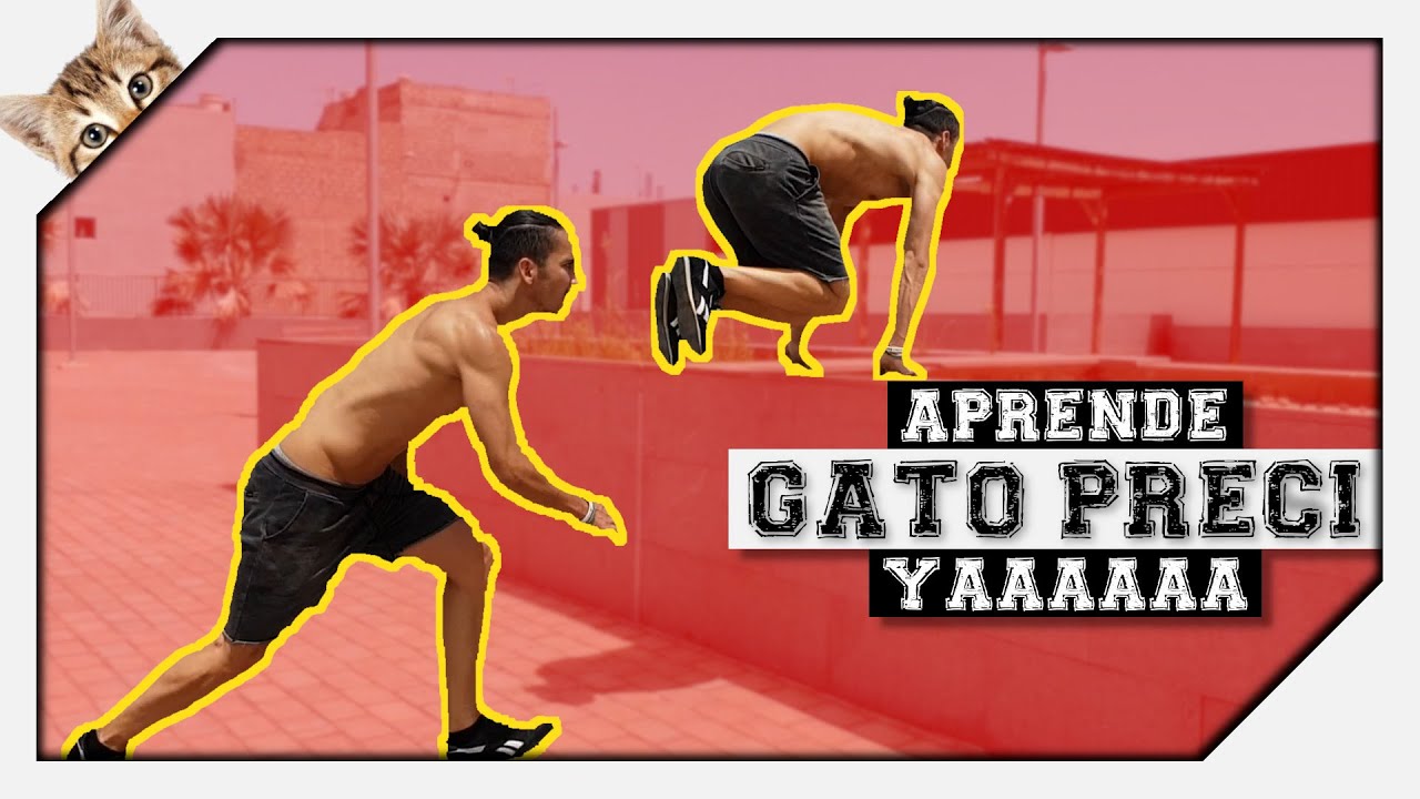 COMO HACER UN GATO PRECI 🔥 | TUTORIAL de PARKOUR FACIL 💡 - YouTube